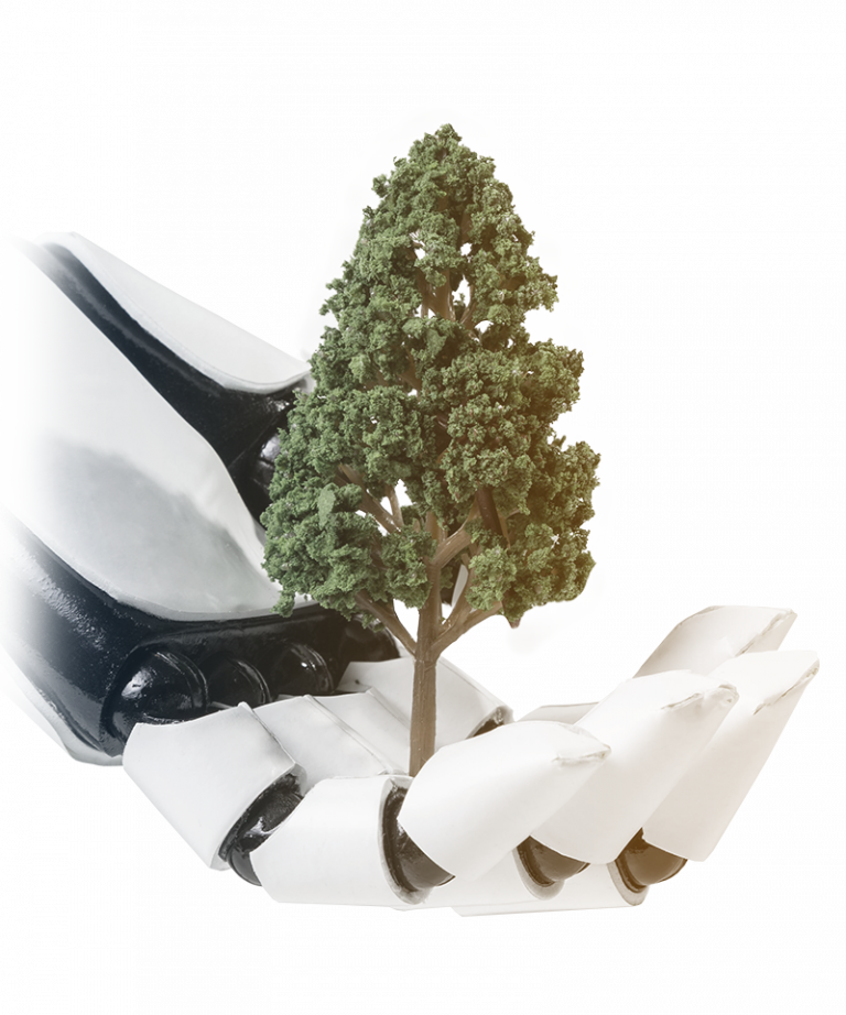 By function – MajestEYE